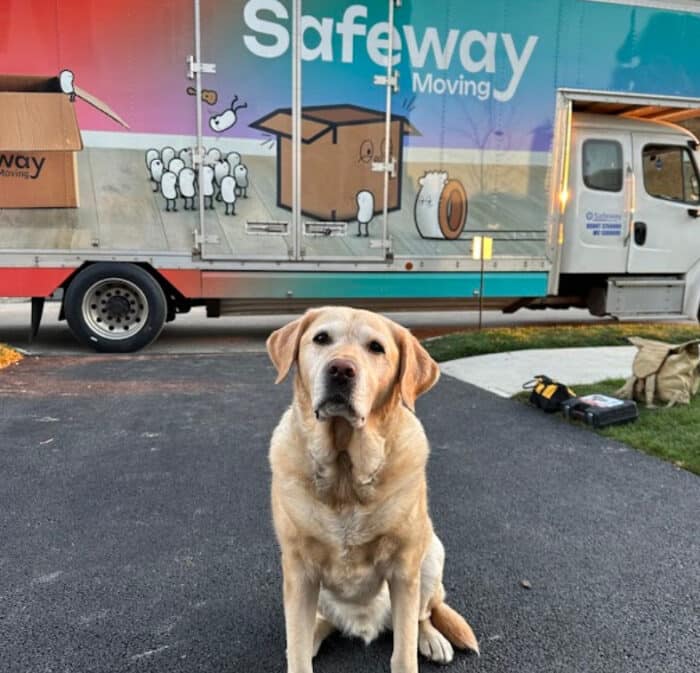 Safeway Moving: Vision & Mission | Innovation, Transparency, Trust ...